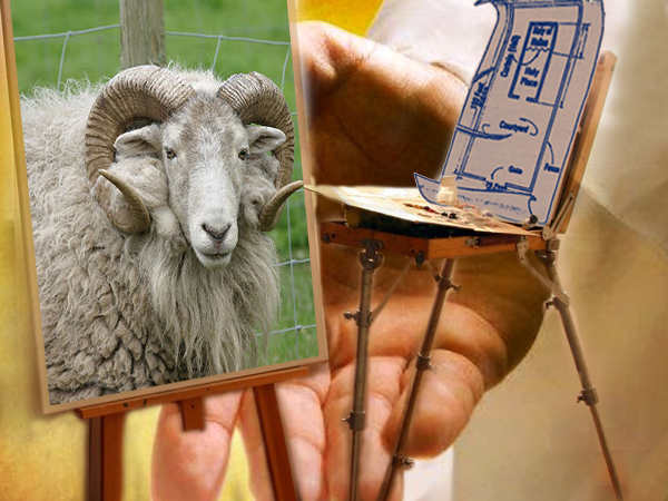 11 Ram Skins – Kol Kallah